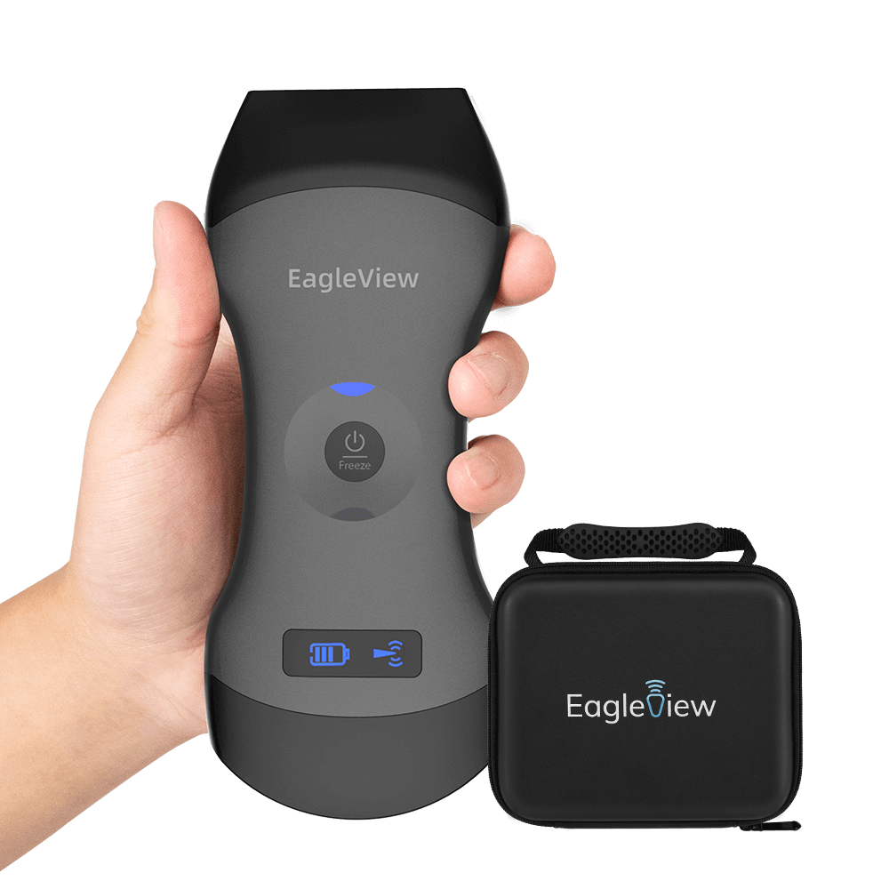 special offer – EagleView